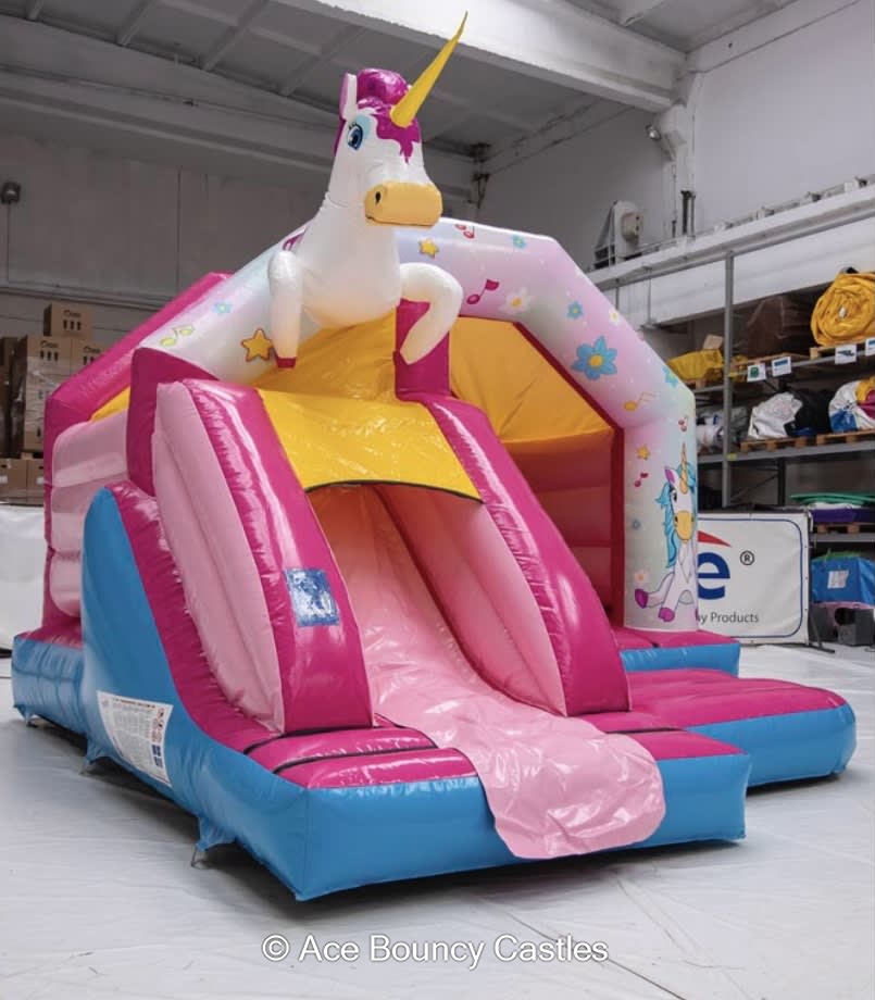 Castles with Slides - Hire in Renfrewshire